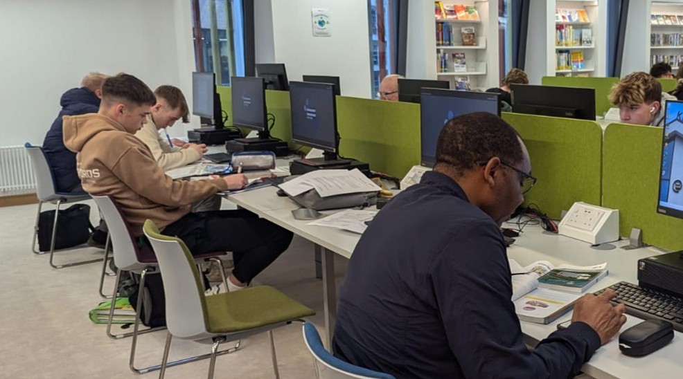 Using the People's Network: ACE Public Libraries Dataset - Lorensbergs